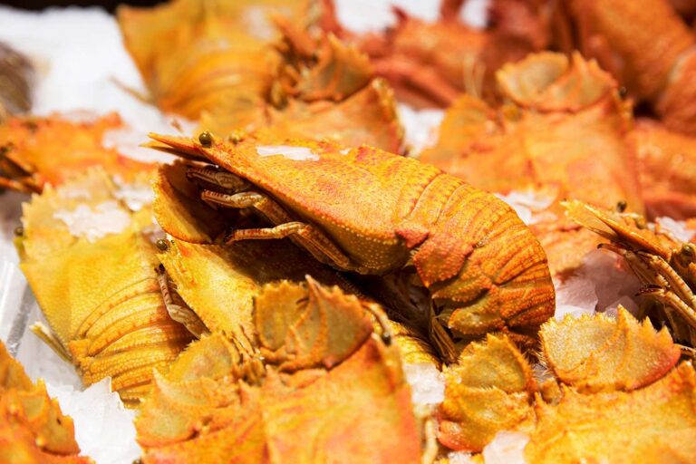 Bugs Balmain Bay Cooked 1kg - Dubbo Meat Centre