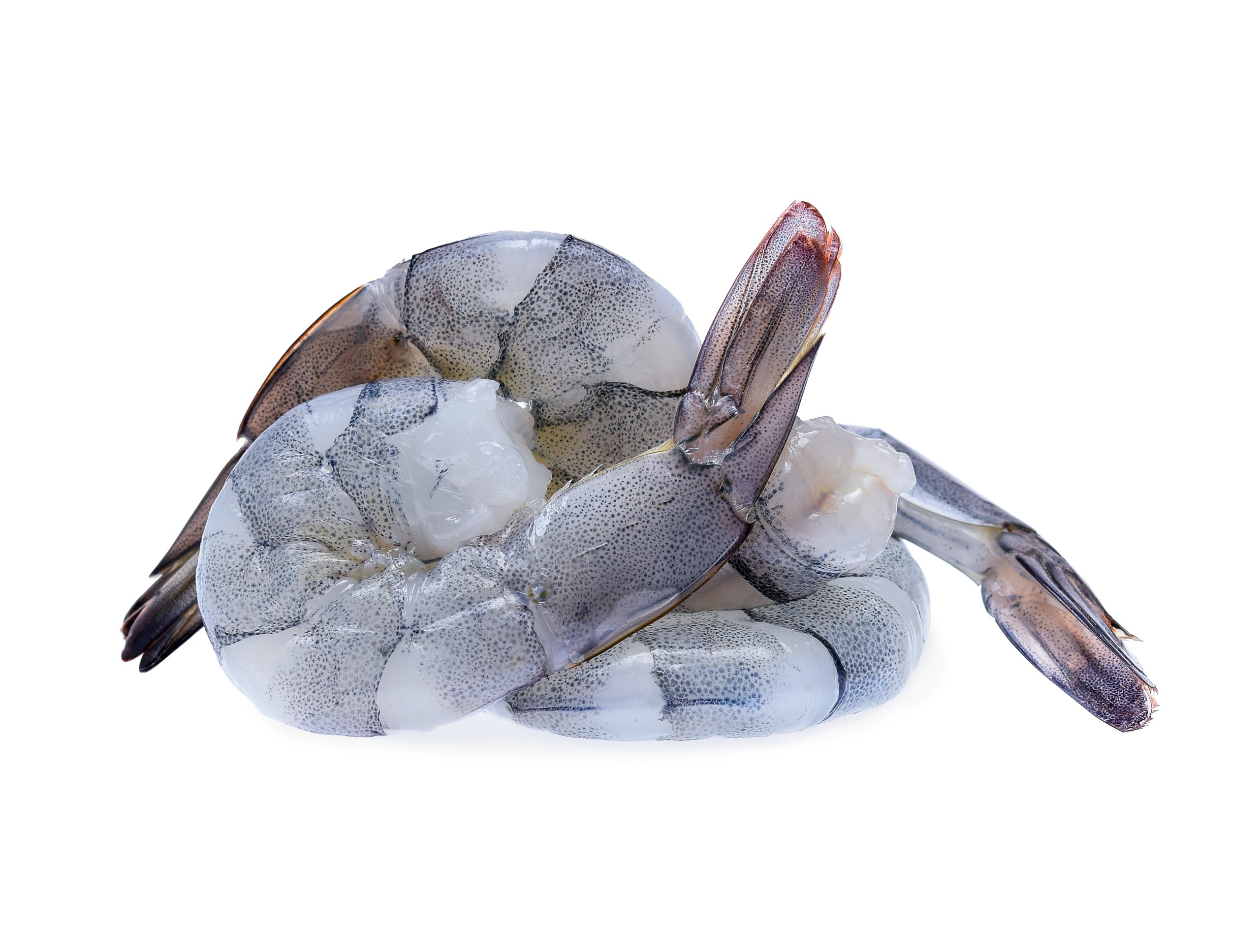 Prawn Cutlets Raw 21-25 700g Sea Star - Dubbo Meat Centre