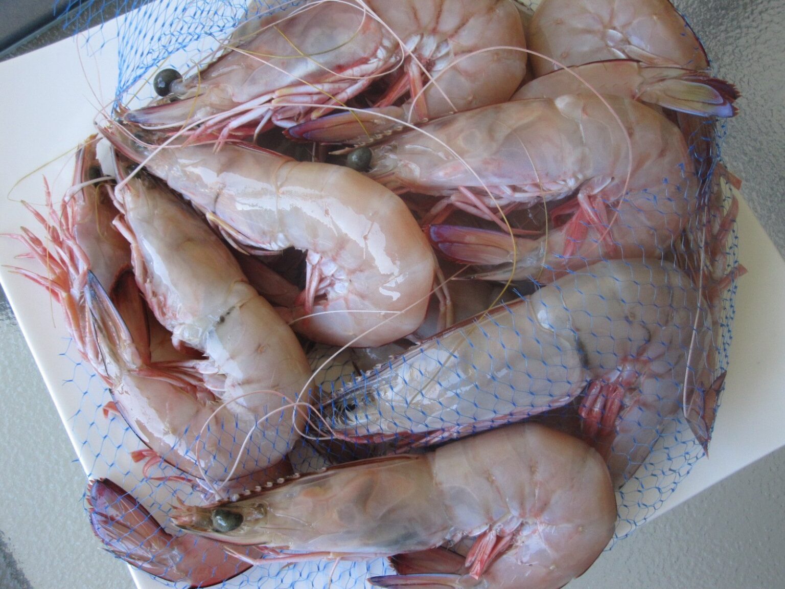 Prawns King Green Extra Large Australian 1kg - Dubbo Meat Centre